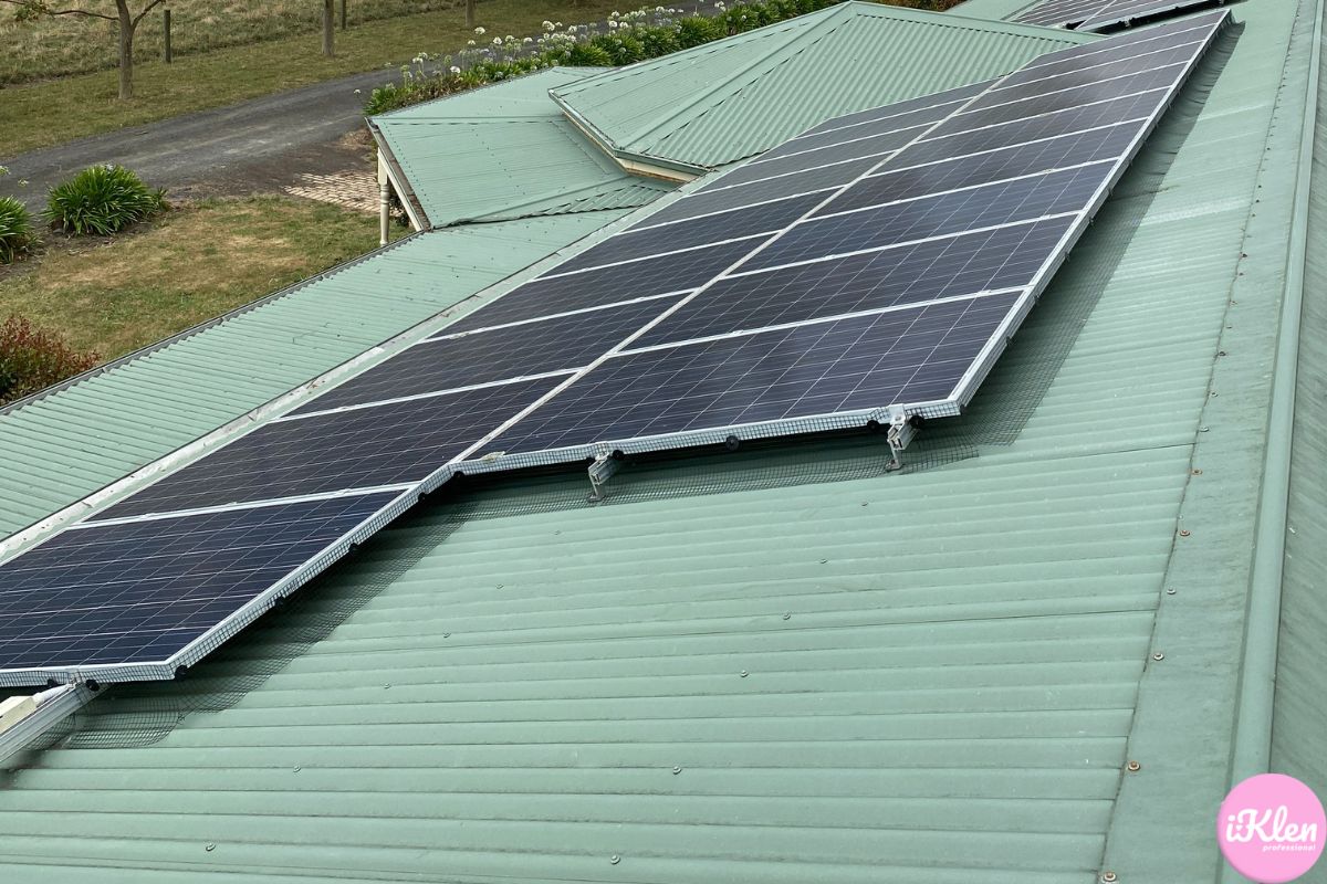 How Does Bird Proofing Solar Panels Work? | iKlen