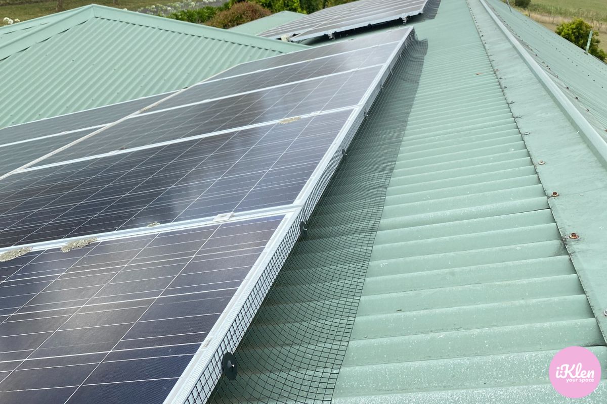 How to Remove Lichen or Algae on Solar panels | iKlen How to Remove Lichen or Algae on Solar panels | iKlen