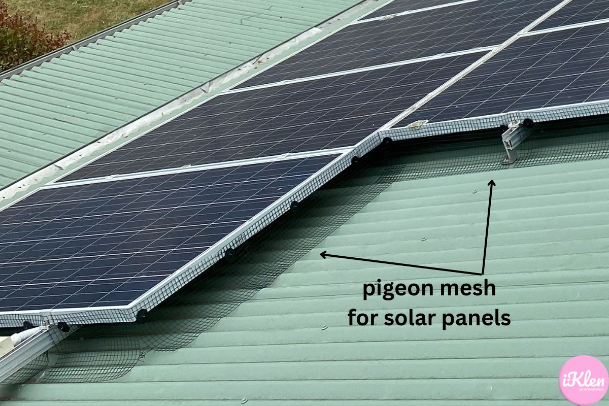 Solar Panel Bird Mesh Installation Melbourne | iKlen