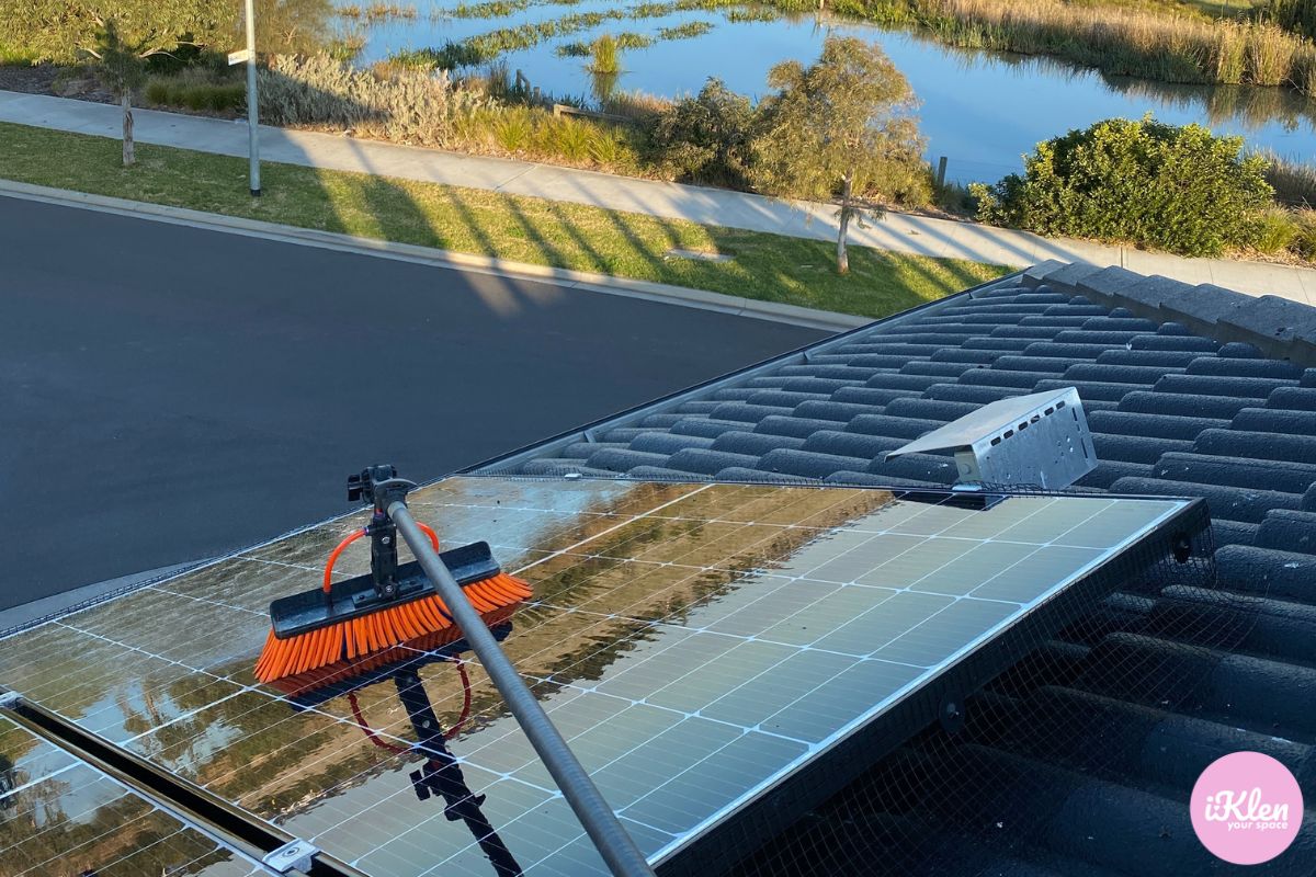 How to Remove Lichen or Algae on Solar panels | iKlen