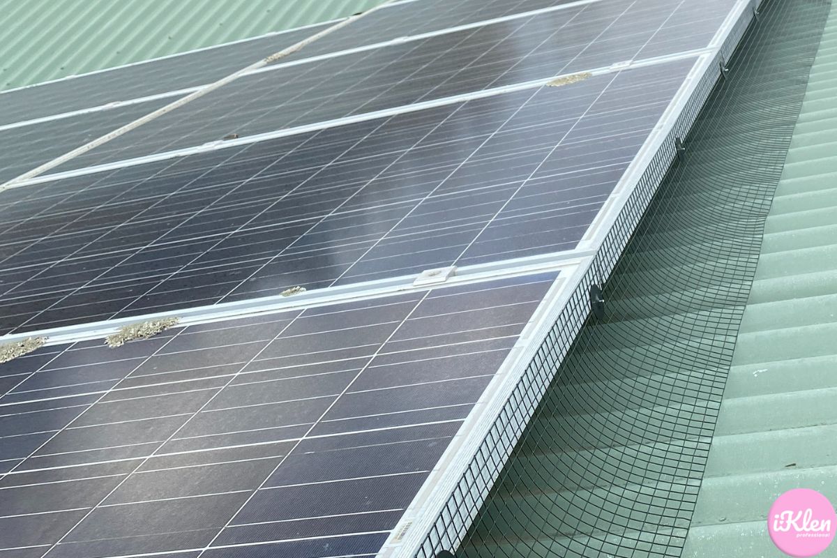 Solar Panel Bird Mesh Installation Melbourne | iKlen