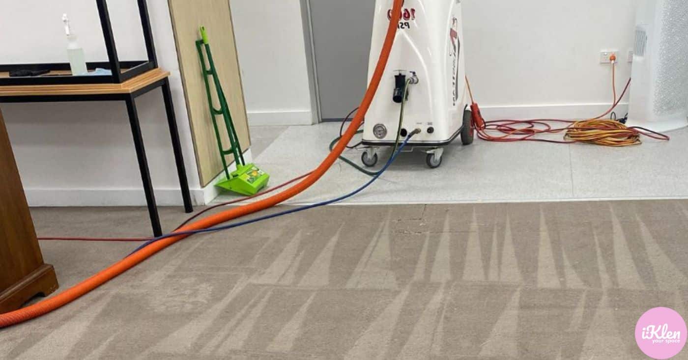 How to Fix Crunchy Carpet After Cleaning: Uncover Professional Secrets ...